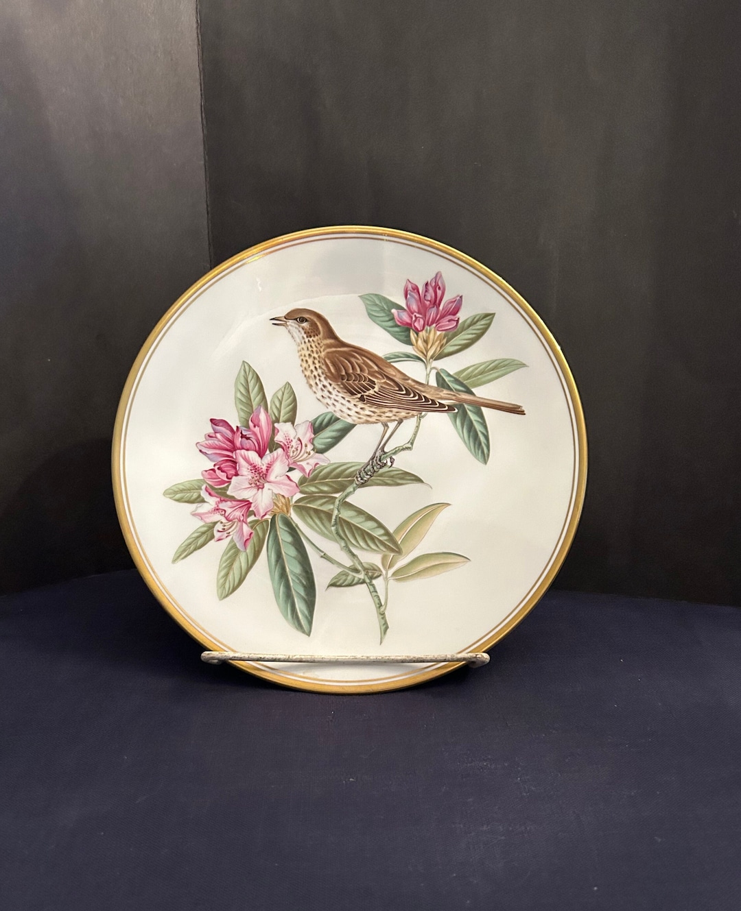Spode Garden Birds Mistle Thrush Collectible Plate - Etsy