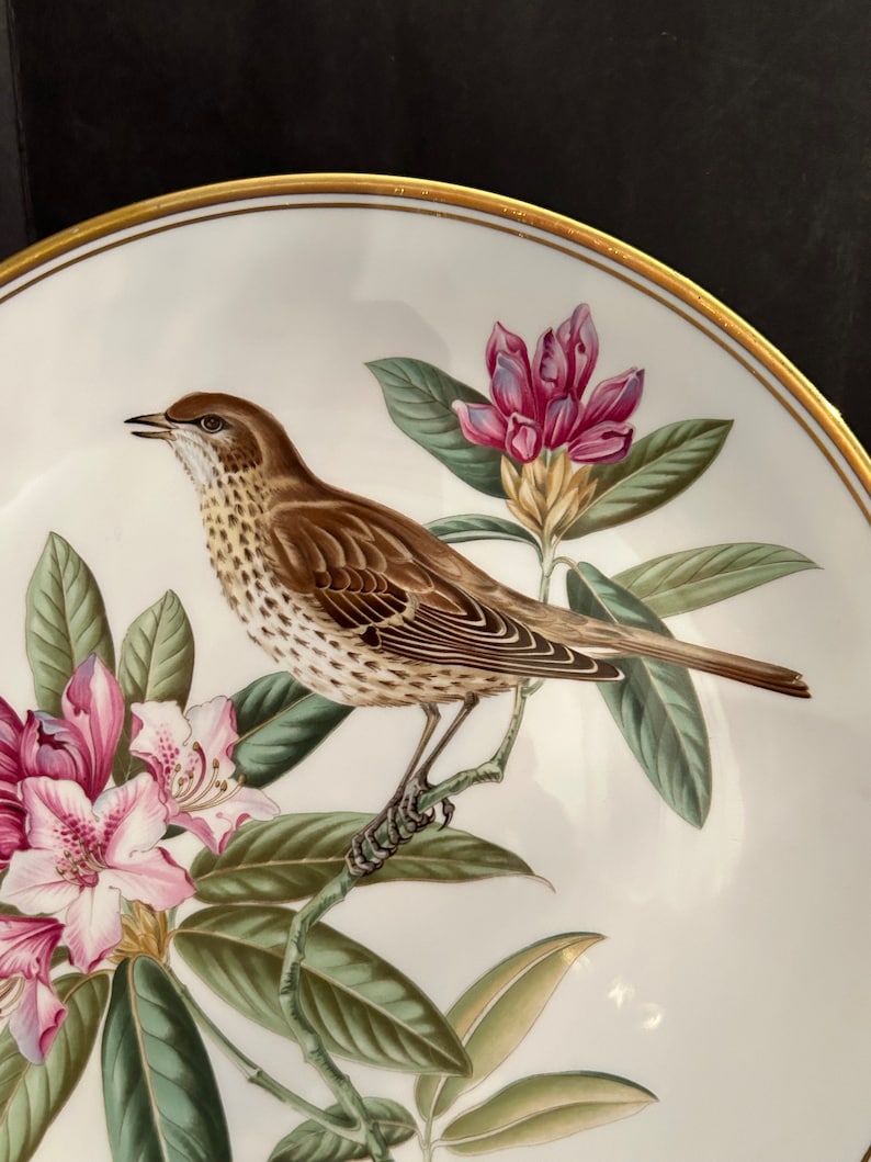 Spode Garden Birds Mistle Thrush Collectible Plate - Etsy