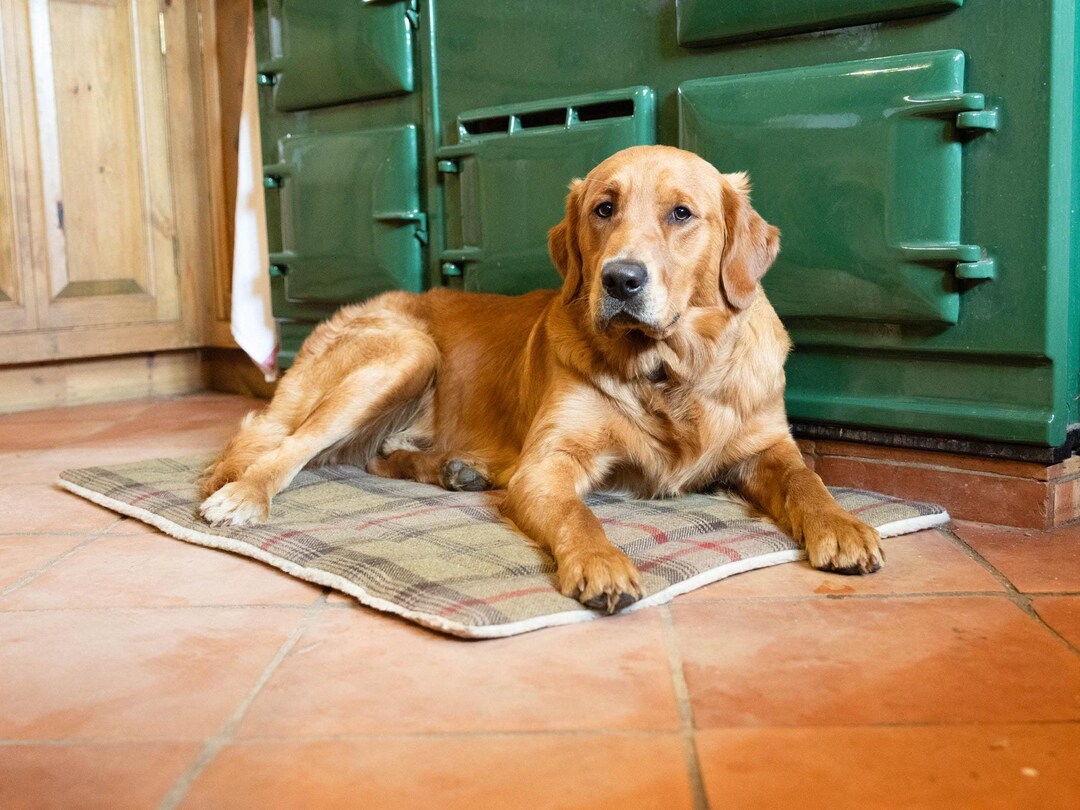 Hunter Tartan Crate Mat, Car Boot Dog Bed, Settle Mat in Brown & Red - Etsy