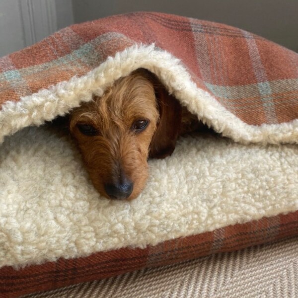 Luxury Dog Bed - Etsy