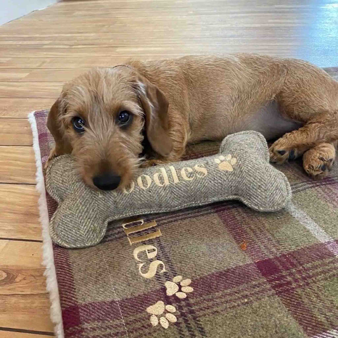 Mini Bone Dog Toys, Personalised Puppy Toys - Etsy UK