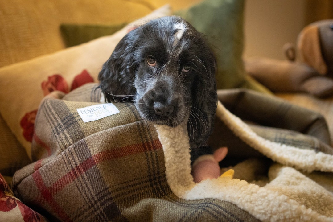Tartan Dog Snuggle Sack: Luxury Hunter Plaid & Faux Sheepskin Pet ...