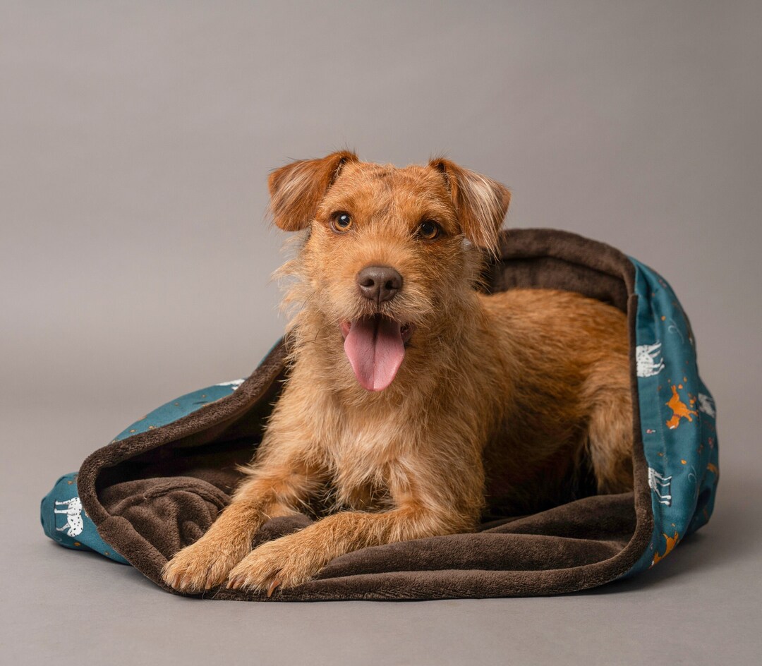 Emily Cole 'muddy Paws' Dog Snuggle Sack: Luxury Pet Sleeping Bag - Etsy