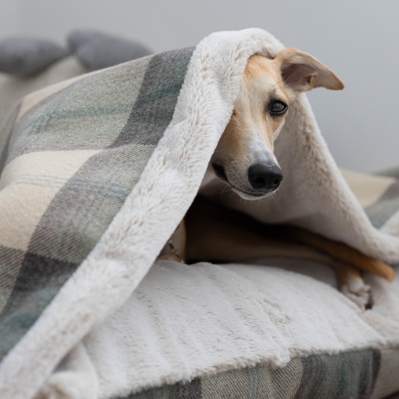 Farmhouse Dog Bed - Etsy