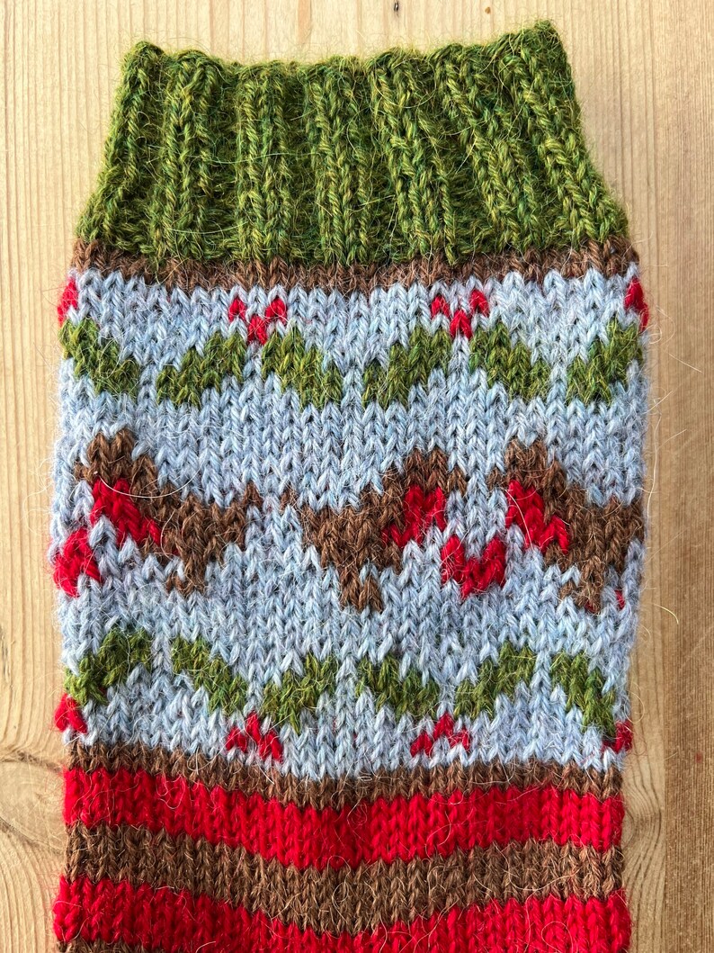 Rockin' Robin Sock PATTERN for Hand Knitted Socks Can Be - Etsy