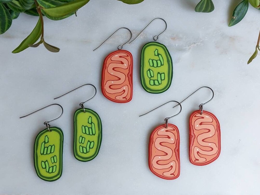 Chloroplast and Mitochondria Earrings | Gift for Biologist and Science ...