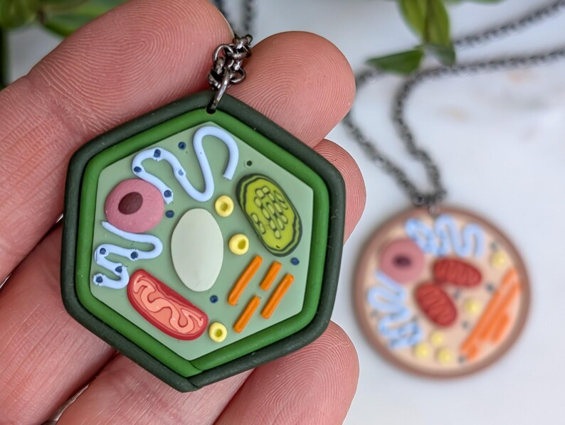 Plant and Animal Cell Pendant Necklace | Fun Biology and Science ...