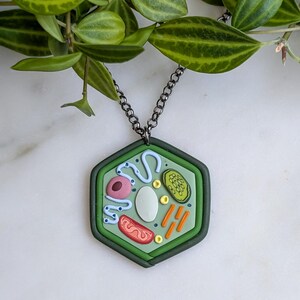 Plant and Animal Cell Pendant Necklace | Fun Biology and Science ...