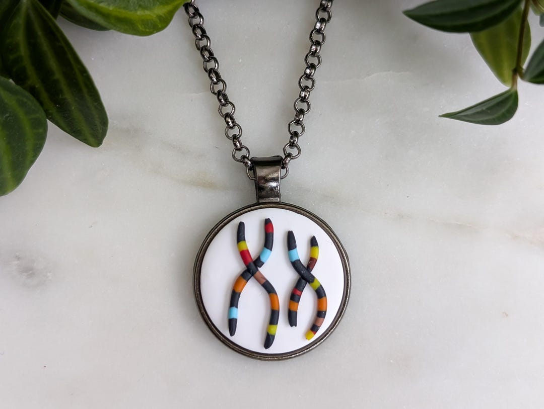 Chromosome Pendant Necklace | Genetics Gift for Women in STEM, Doctor ...