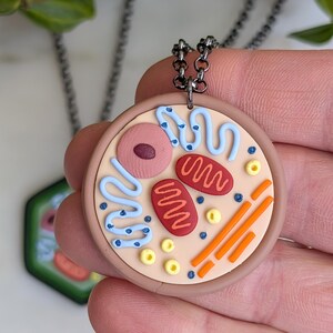 Plant and Animal Cell Pendant Necklace | Fun Biology and Science ...