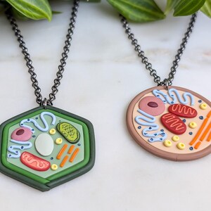 Plant and Animal Cell Pendant Necklace | Fun Biology and Science ...