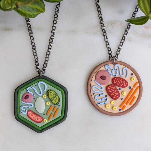 Biology Jewelry - Etsy