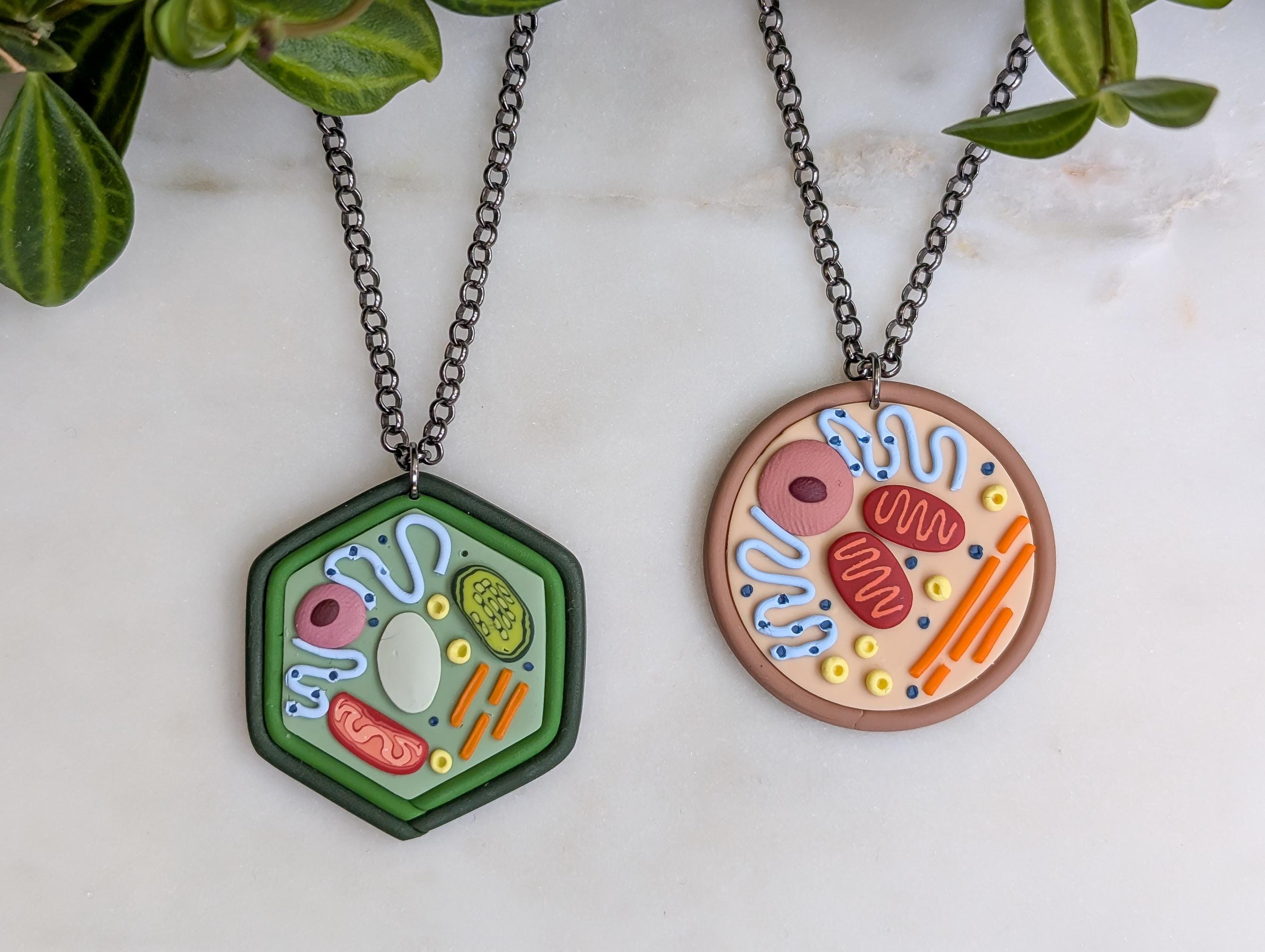 Plant and Animal Cell Pendant Necklace | Fun Biology and Science ...