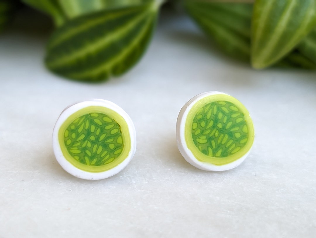 Algae Stud Earrings Realistic Microscopic Biology Jewelry Gift for ...
