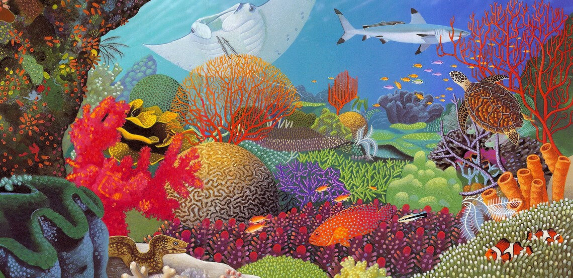 Here is the Coral Reef: Fine Art Print of an Acrylic Painting by Tom ...