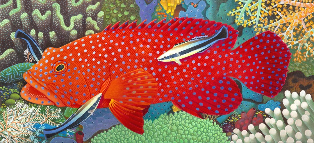 Coral Cod: From the Children's Book "here is the Coral Reef" Fine Art ...