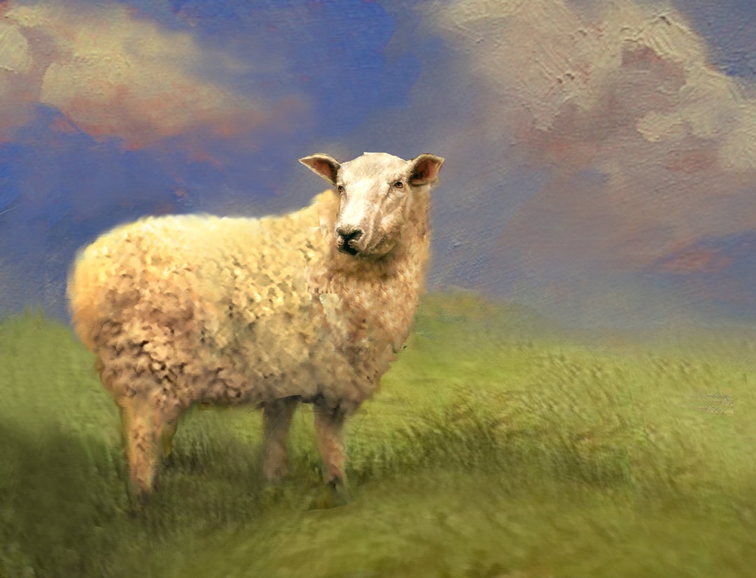 Sheep Painting. Modern Farm Painting. Pasture and One Sheep. One in a ...