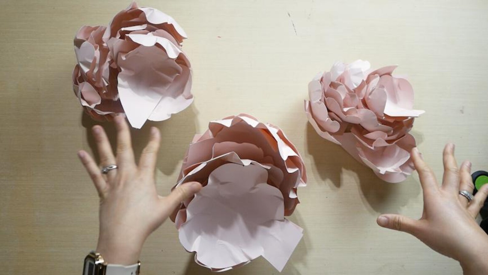 Giant Paper Peony Template: DIY Freestanding Flower (SVG & PDF) - Etsy