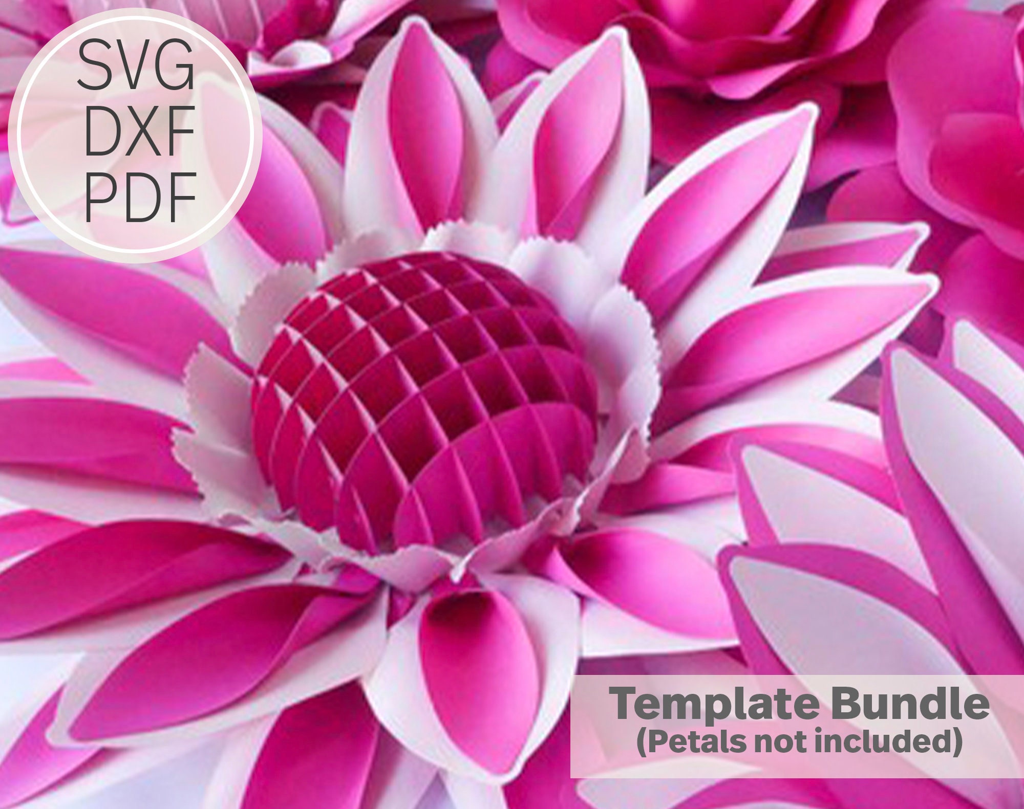 Hemisphere Paper Rose Template SVG & PDF Convert to Online - Etsy