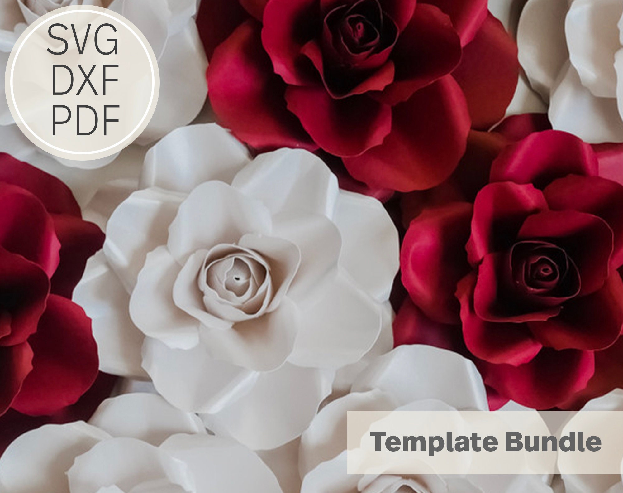 10 Inches Paper Duchess Rose Template SVG DXF & PDF Cricut - Etsy