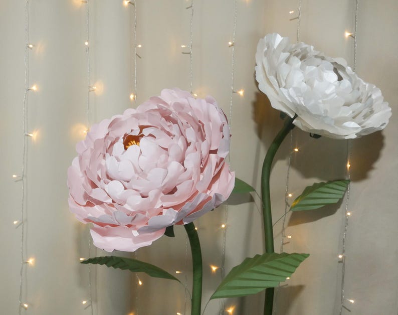 Giant Paper Peony Template: DIY Freestanding Flower (SVG & PDF) - Etsy