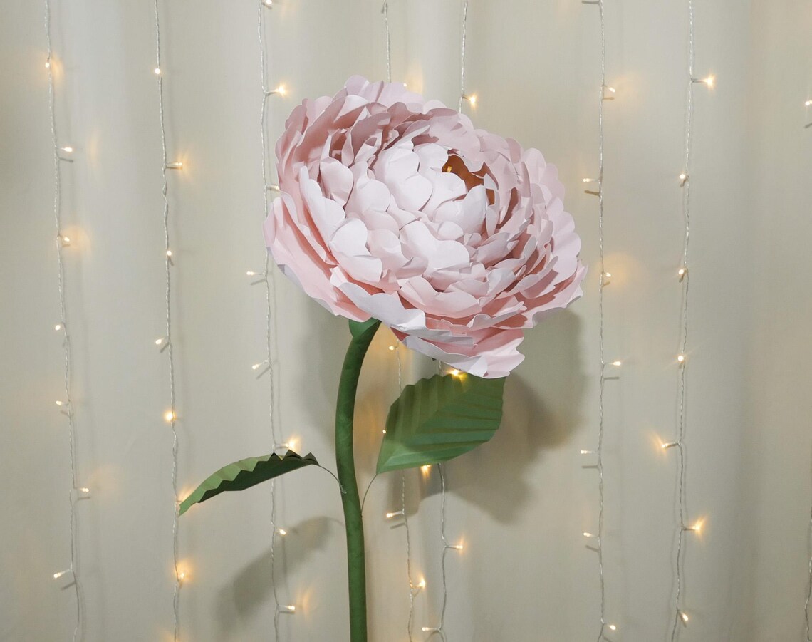 Giant Paper Peony Template: DIY Freestanding Flower (SVG & PDF) - Etsy