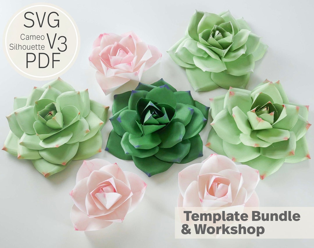 Paper Succulent Template, SVG, Pdf, Silhouette V3 & DXF, Cricut and ...