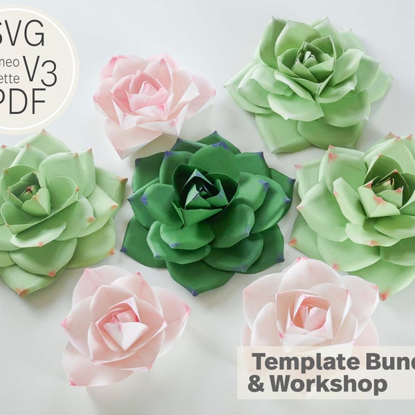 Paper Succulent - Etsy
