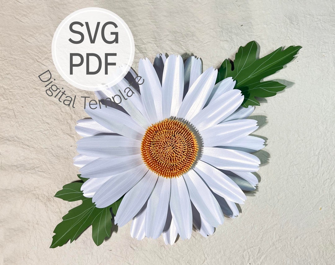 Large Paper Daisy SVG Template for Cricut and Cameo Silhouette Cutting ...