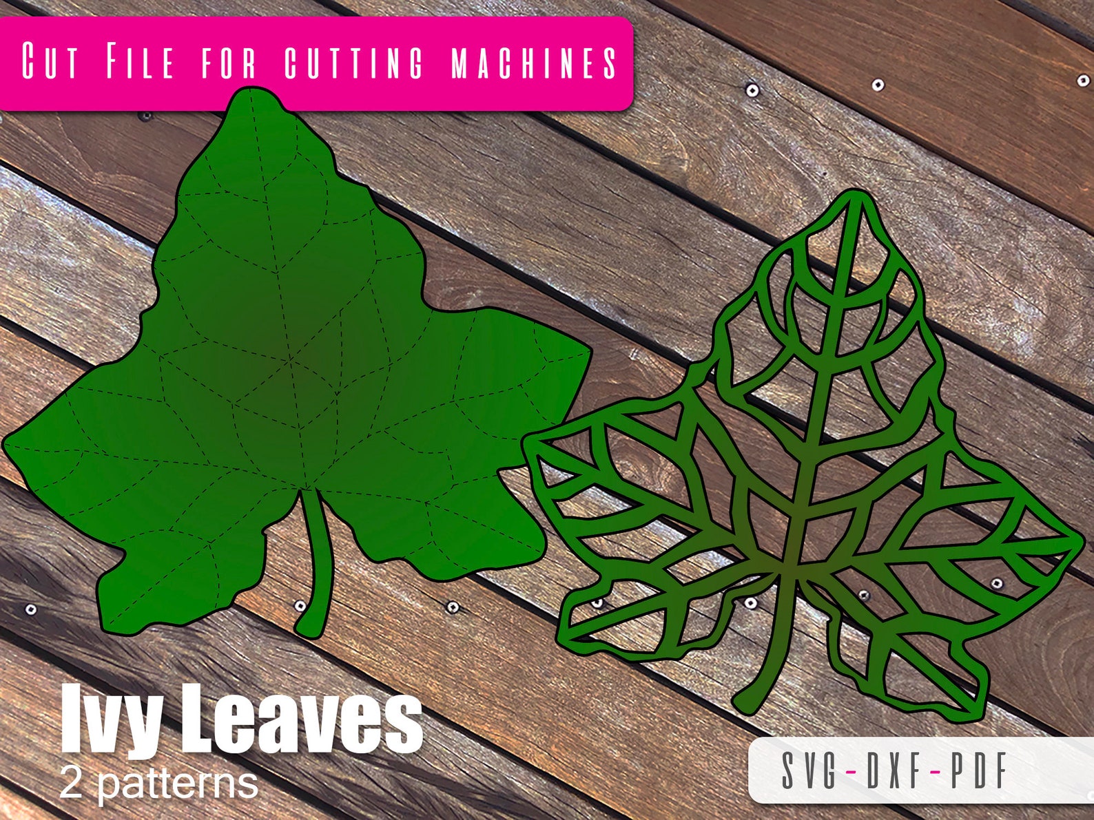 SVG DXF and PDF Printable Digital Leaf Template 5 Ivy | Etsy