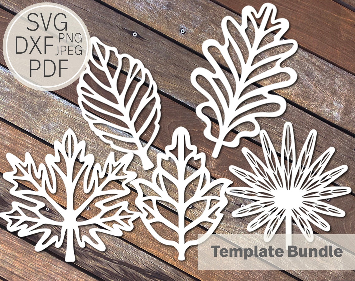 Set 1 Paper Leaf Template SVG PDF DXF Png & Jpeg | Etsy