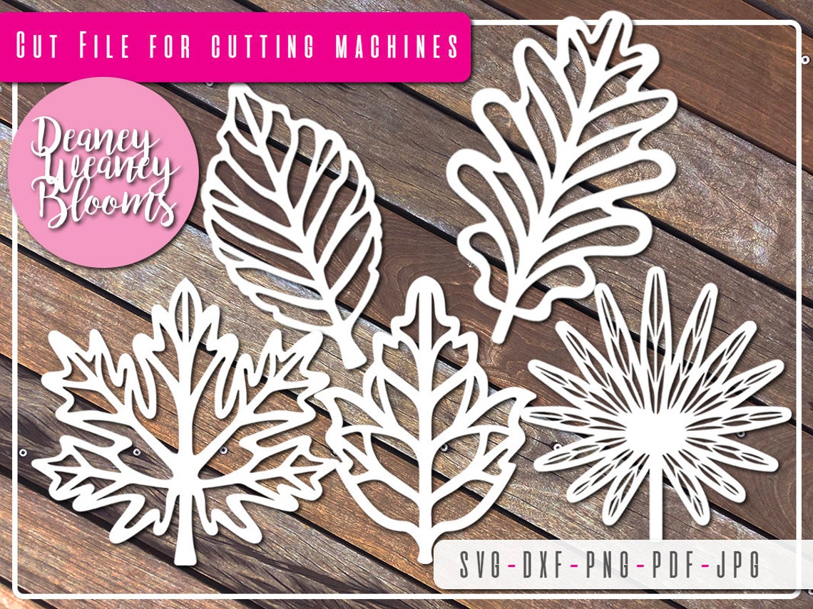 Set 1 Paper Leaf Template SVG PDF DXF Png & Jpeg | Etsy