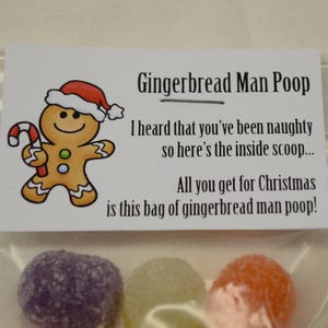 Snowman Poop, Reindeer Poop, Gingerbread Man Poop TAGS & BAGS ONLY ...