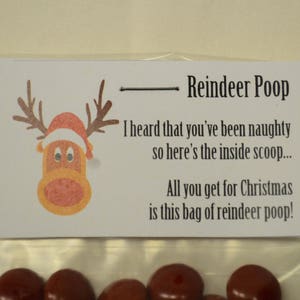 Snowman Poop, Reindeer Poop, Gingerbread Man Poop TAGS & BAGS ONLY ...