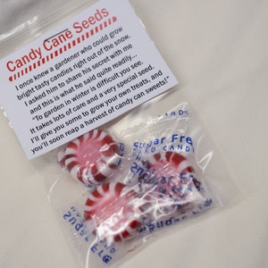 Digital Version - Candy Cane Seeds Bag Topper Tag - Printable/download ...