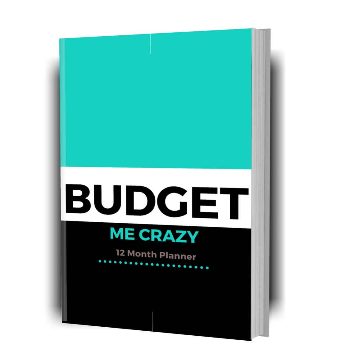 Budget Me Crazy Budget Planner / 12 Month Planner (coil Binding or ...