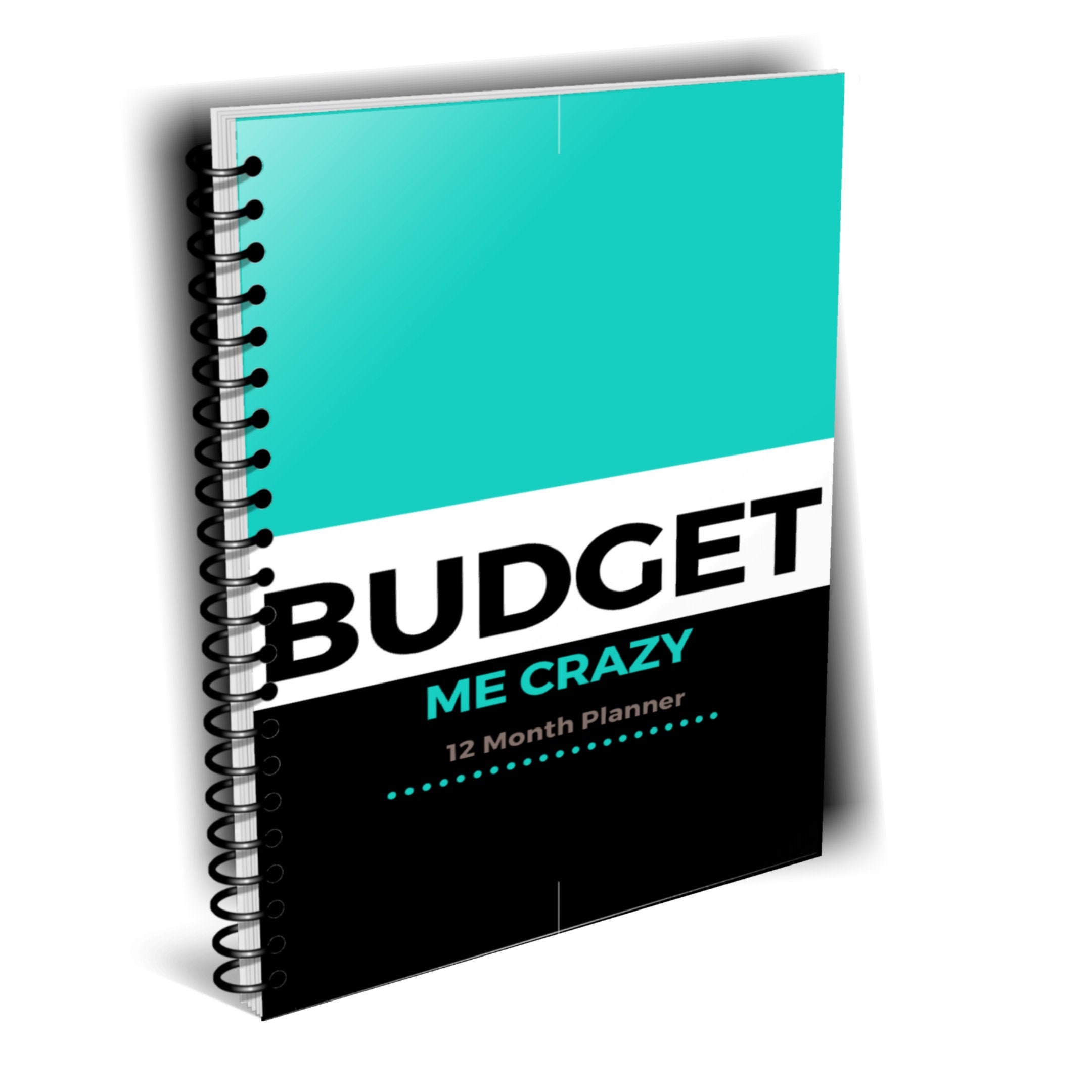 Budget Me Crazy Budget Planner / 12 Month Planner (coil Binding or ...