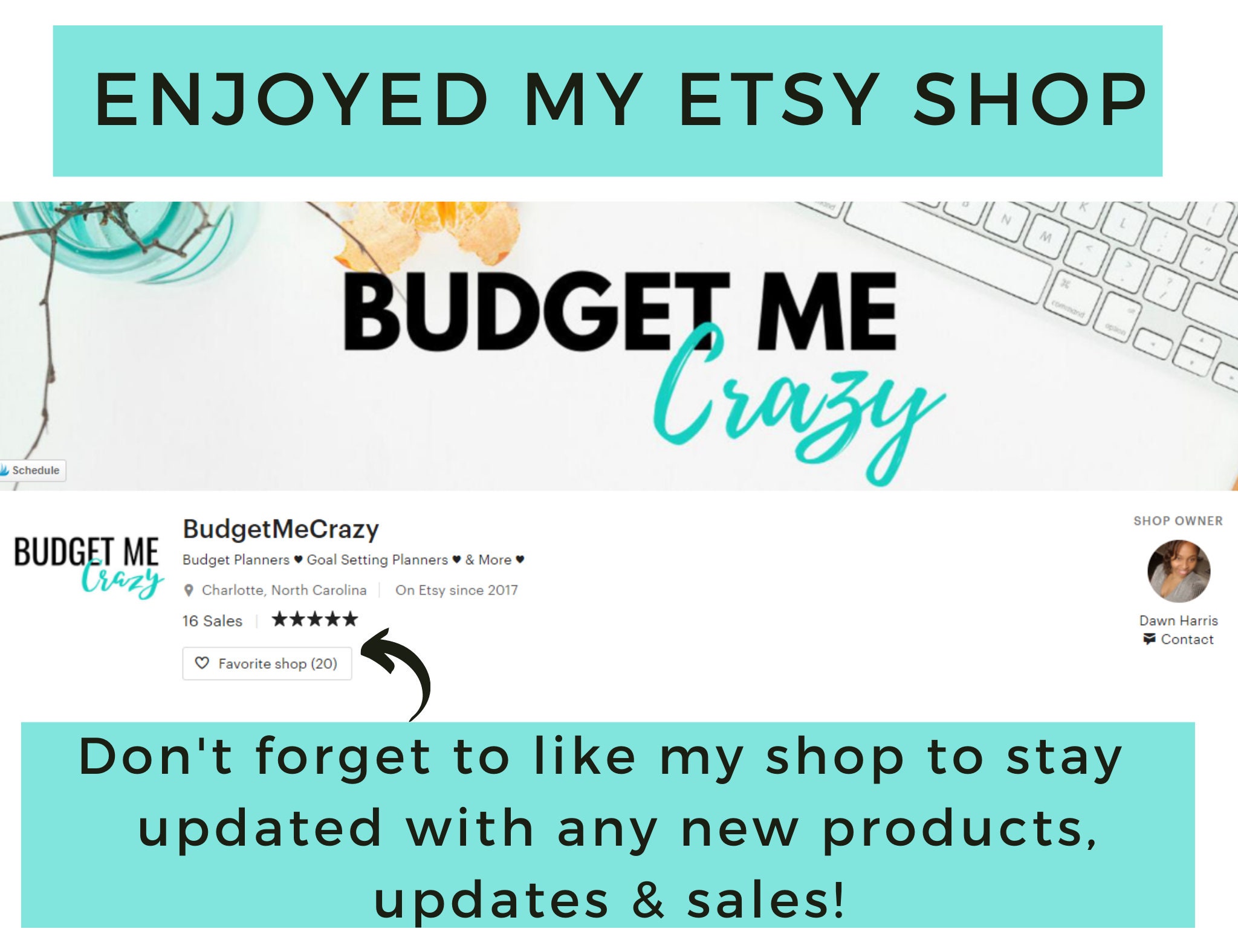 Budget Me Crazy Budget Planner / 12 Month Planner (coil Binding or ...