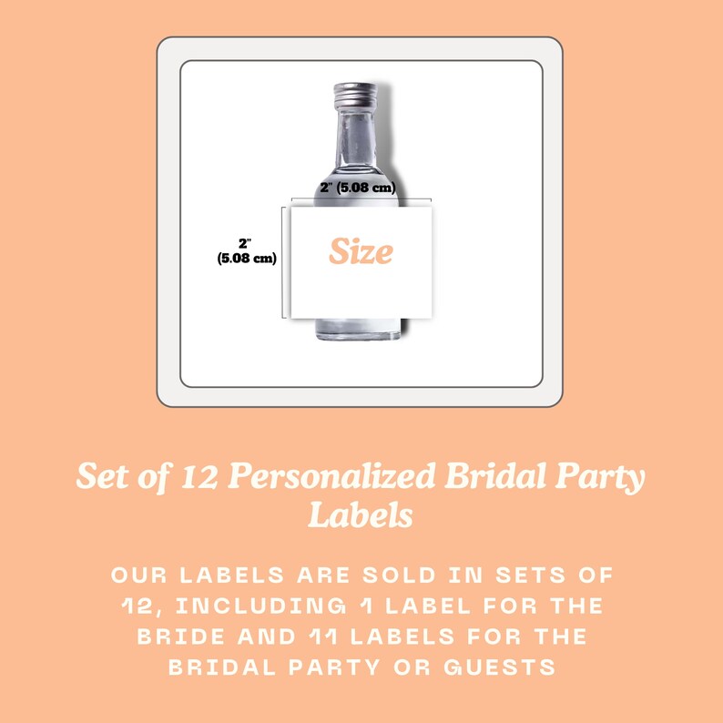 Set of 12 Bottle Labels | Bachelorette Party Favors | Mini Shot Labels ...