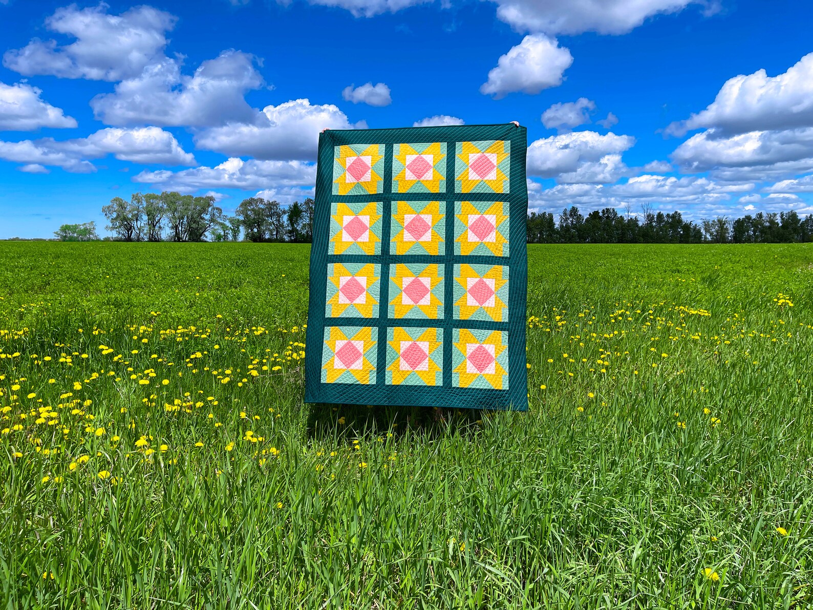 Prairie Rose Quilt Pattern PDF Download - Etsy