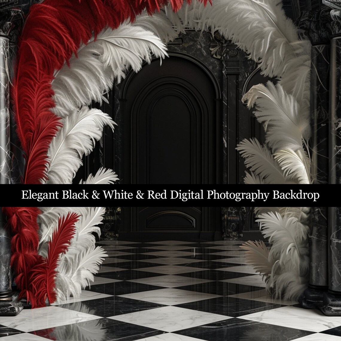 Elegant Black & White Digital Photography Backdrop Feathers and ...