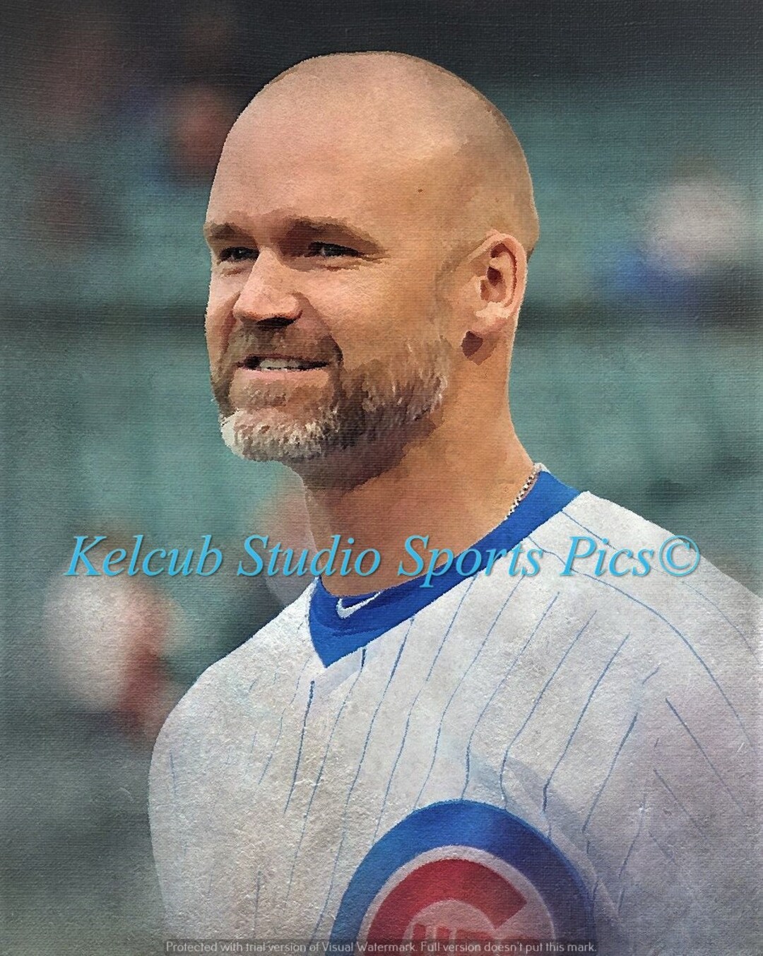 David Ross ~ Rossy ~ Chicago Cubs Manager Various Sizes ~ World ...