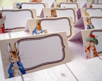 Peter Rabbit Party | Etsy