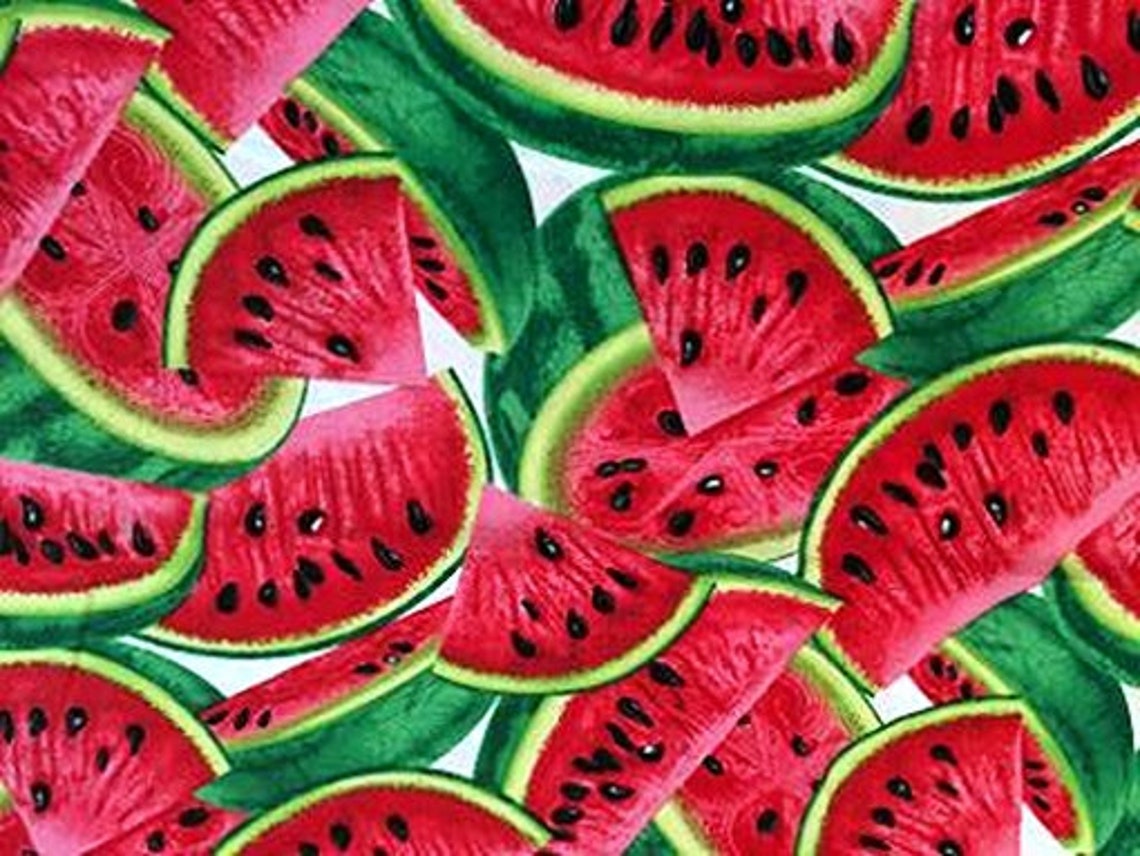 Watermelon Slices Holiday Cookout Summer Fruit Picnic Food | Etsy