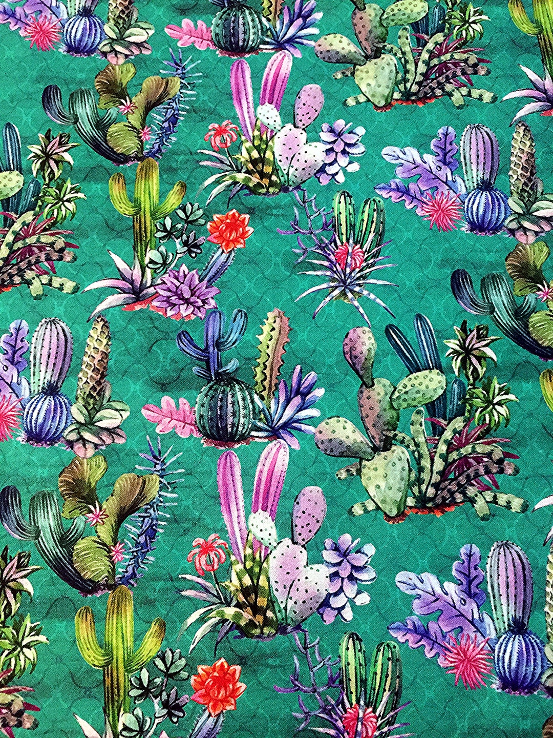 Cactus Fabric: Desert Blooms, Exotic Plants on Teal - Etsy