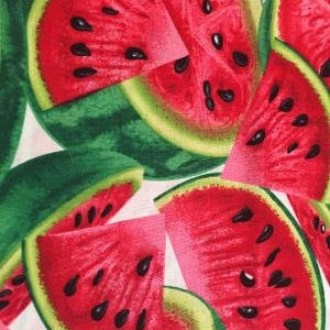 Watermelon Slices Holiday Cookout Summer Fruit Picnic Food Melon Seeds ...