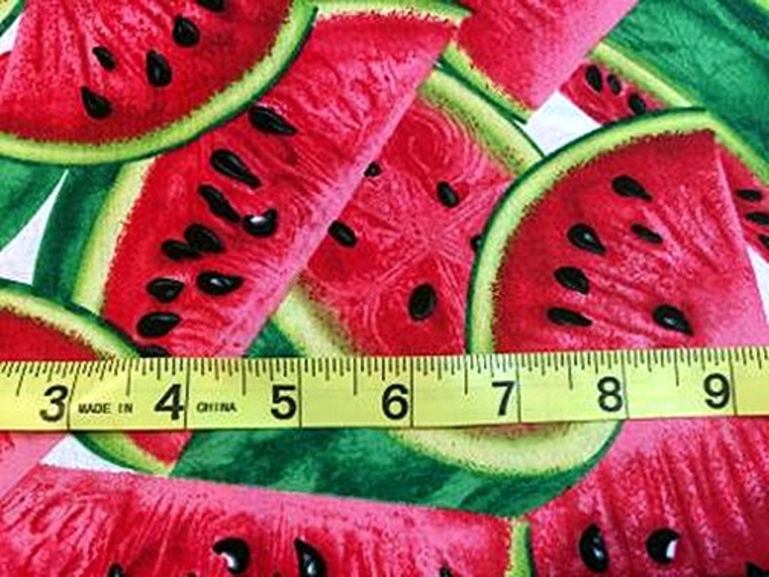 Watermelon Slices Holiday Cookout Summer Fruit Picnic Food Melon Seeds ...