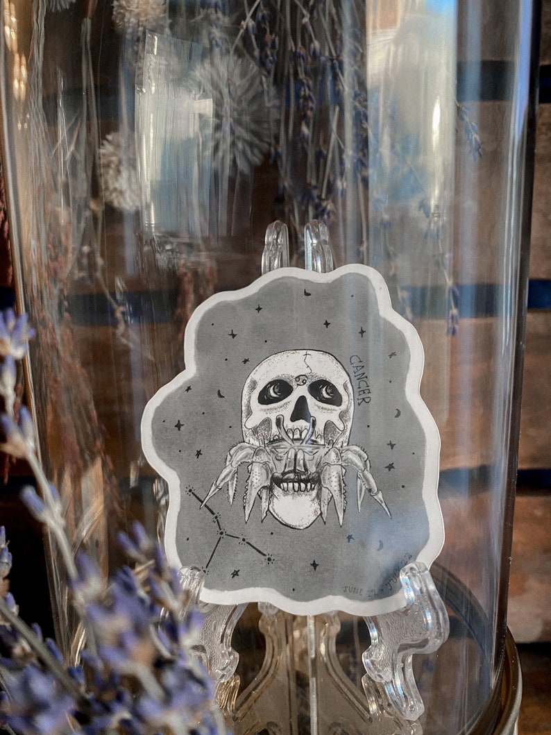 Astrology Stickers // Vinyl Stickers // Zodiac Stickers // - Etsy