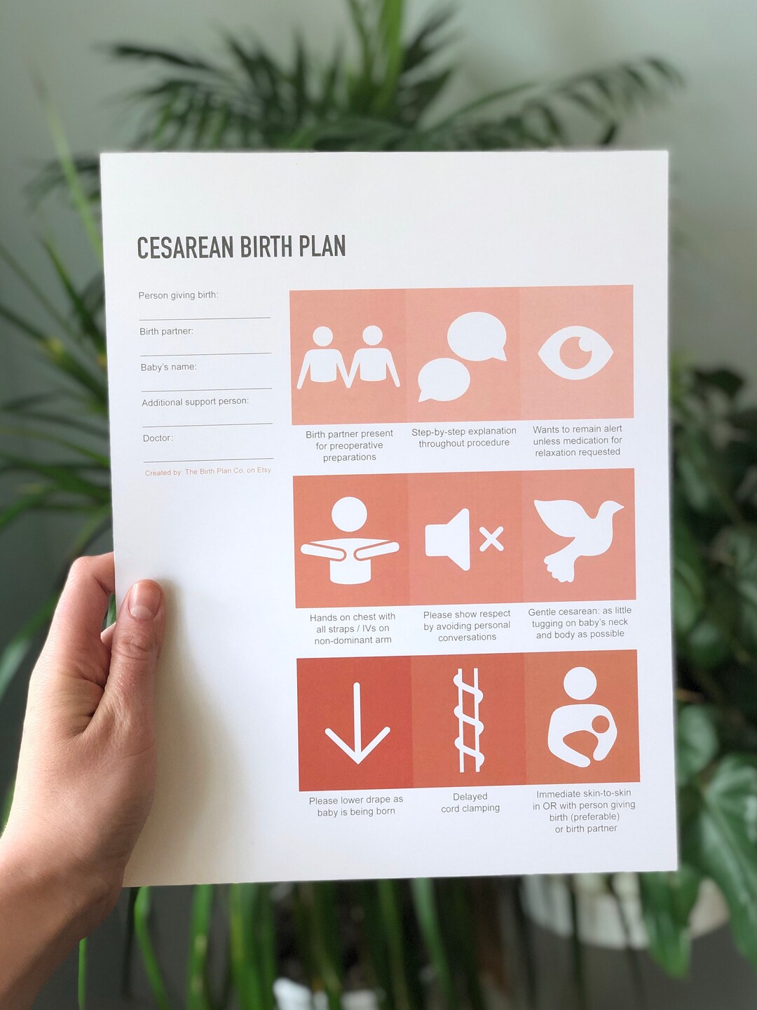 INSTANT DOWNLOAD | C-section Visual Birth Plan - Etsy