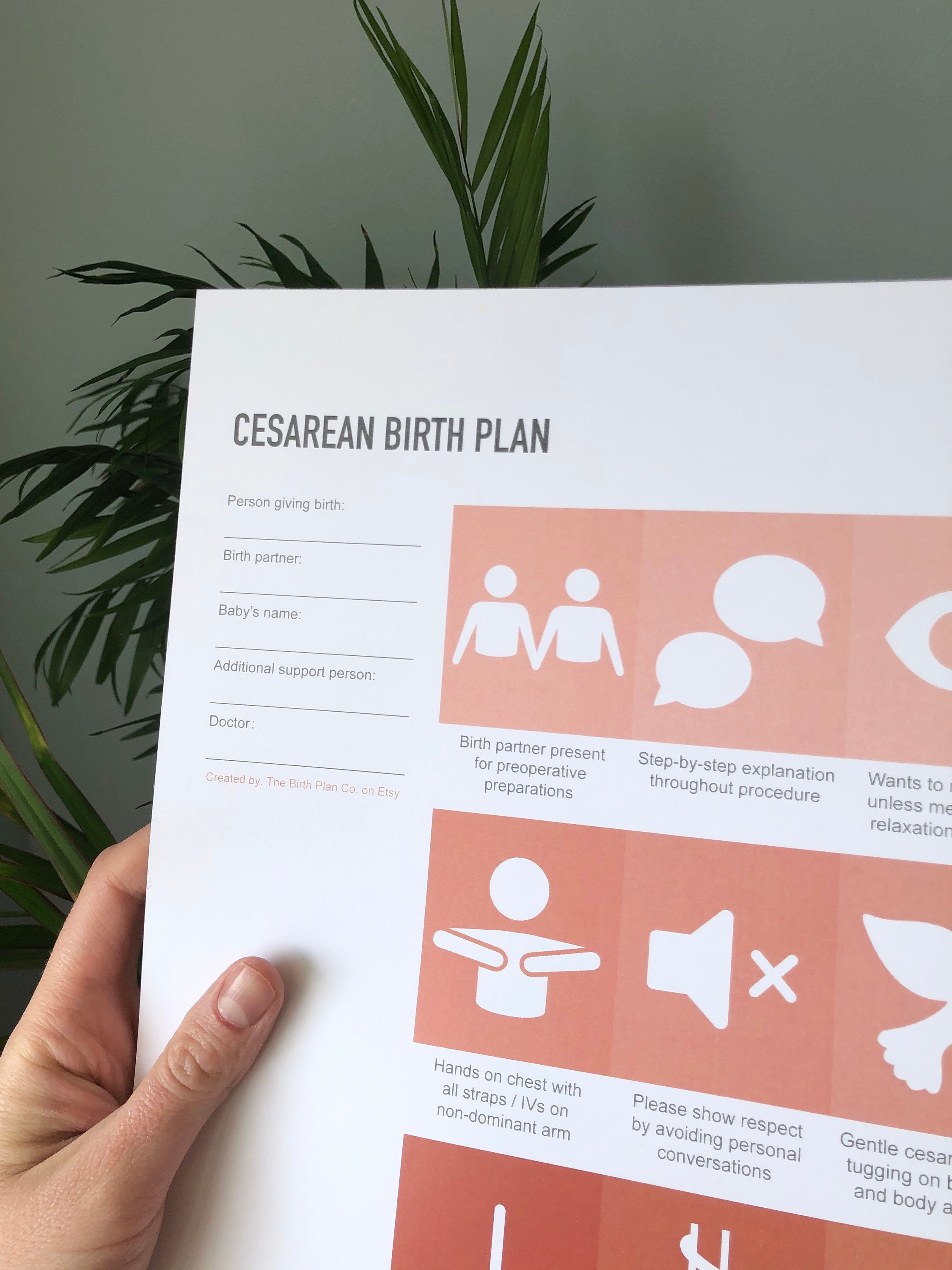 INSTANT DOWNLOAD C-section Visual Birth Plan - Etsy